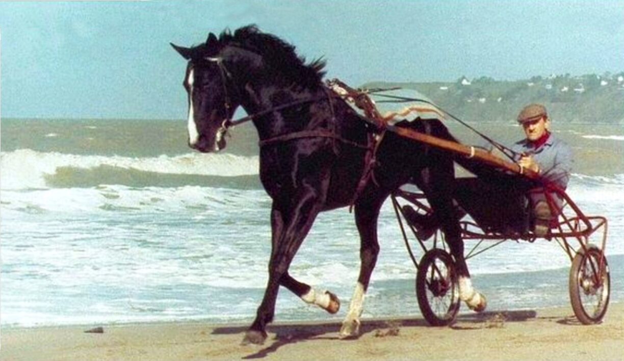 Idéal du Gazeau (1974-1998) – Il était un petit cheval noir – Les ...