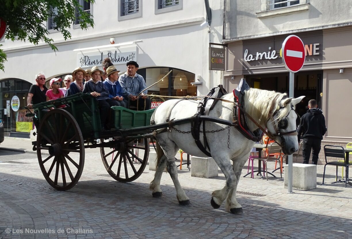 Foires à l’ancienne – C’est reparti pour un été des 4 jeudis ! – Les ...